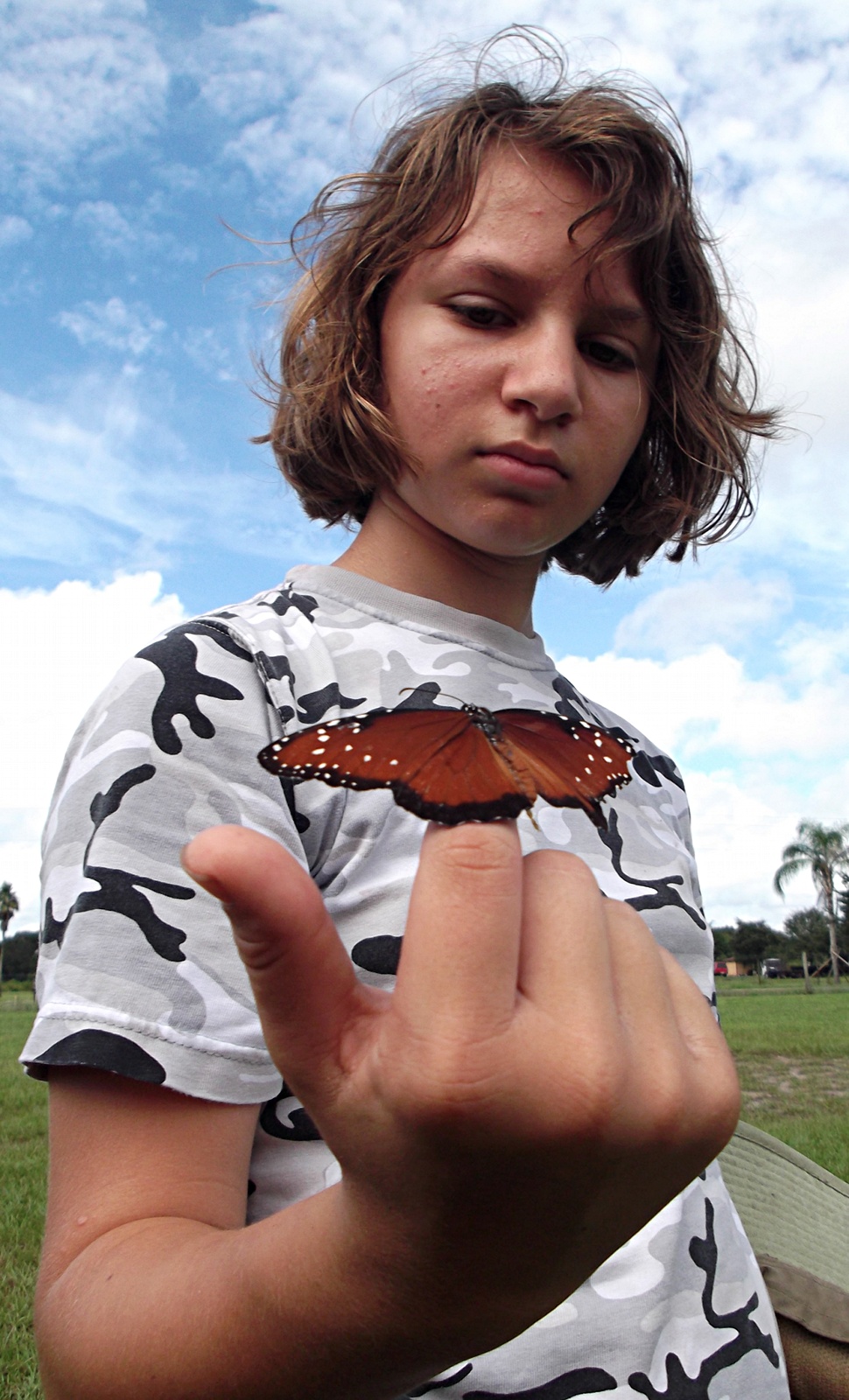 Themes 2014-2015, #5 Butterflies and/or Bees - Photography by Wesley R ...